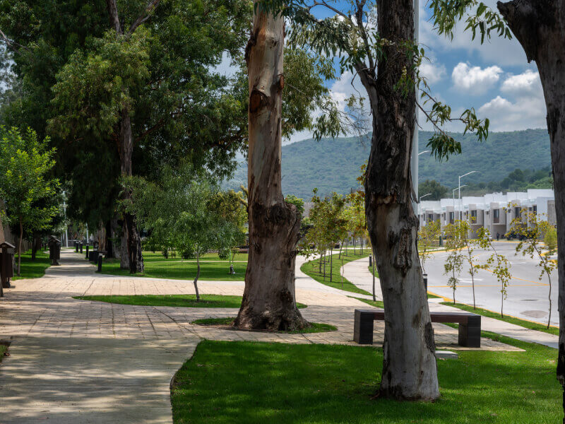 Inmobiliarias en México | Casas con Infonavit | JAVER